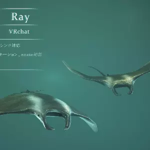 3D model for Ray | By to0328 | VRCArena