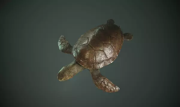 3D model for turtle | By to0328 | VRCArena